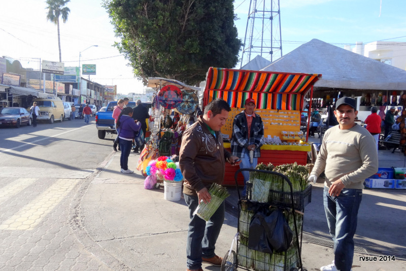 A friendly welcome to Los Algodones, Mexico | rvsue and her canine crew