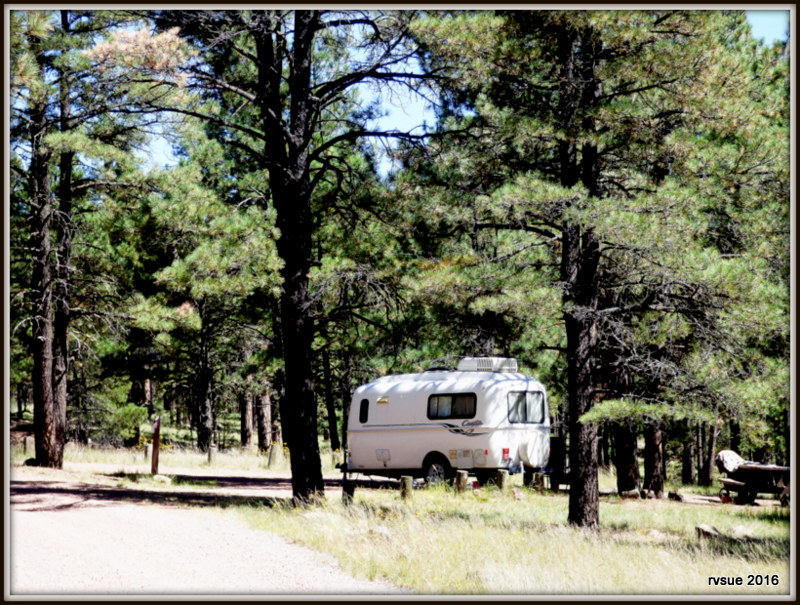 Luna Lake Campground, Apache-Sitgreaves National Forest, Arizona ...